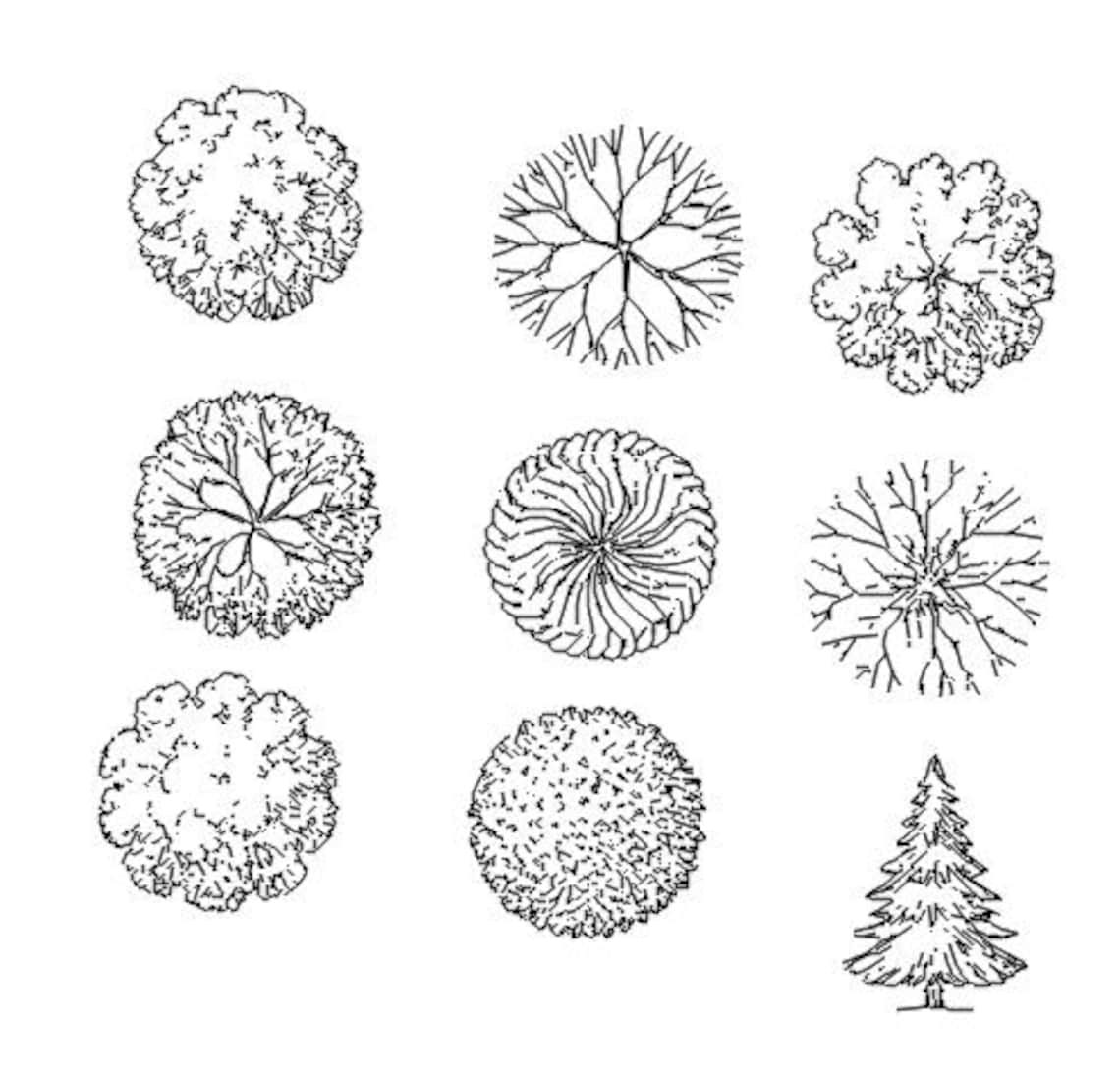 70+ Autocad VEGETATION Blocks – Indoor Plants, Trees, Shrubs, Flowers ...
