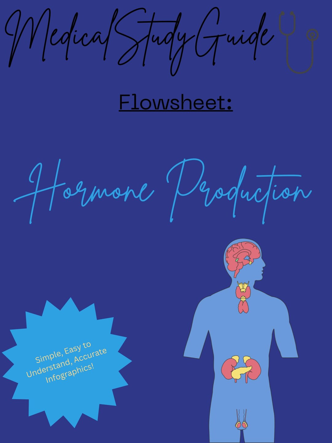 Hormone Production Flowchart - Etsy
