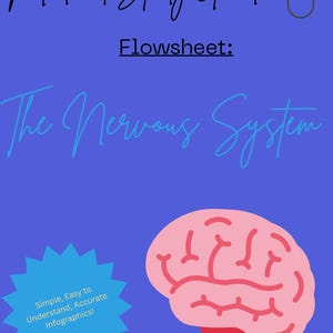 Nervous System Flowchart Cns Vs Pns Breakdown Nursing Anatomy