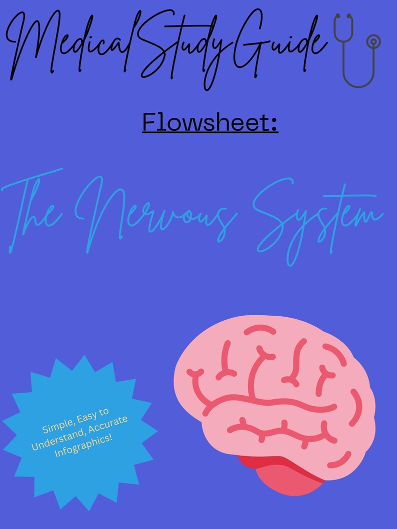 Nervous System Flowchart Cns Vs Pns Breakdown Nursing Anatomy