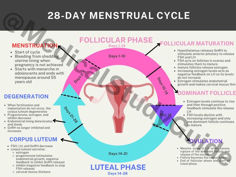Menstrual Cycle Diagram | 28-day Cycle Phases & Hormones | Nursing ...