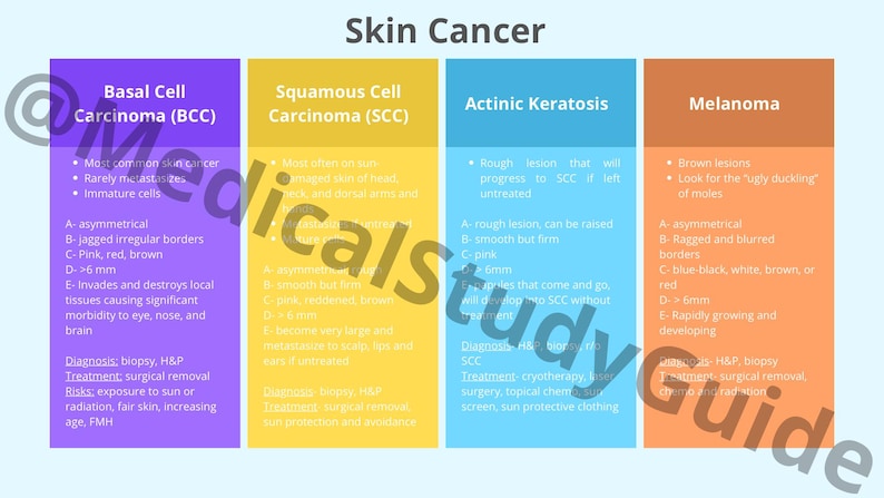 Skin Cancer Infographic: Basal Cell, Squamous Cell, Melanoma - Etsy