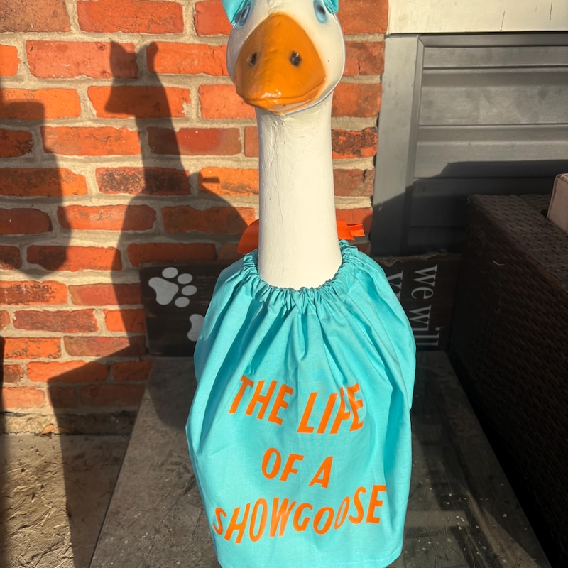 1990s Porch Goose Outfits - Etsy