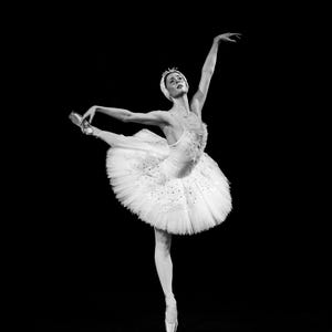 Emma Hawes | Odette | Fine Art, Ballet, Minimalist Art Print, Wall Art ...