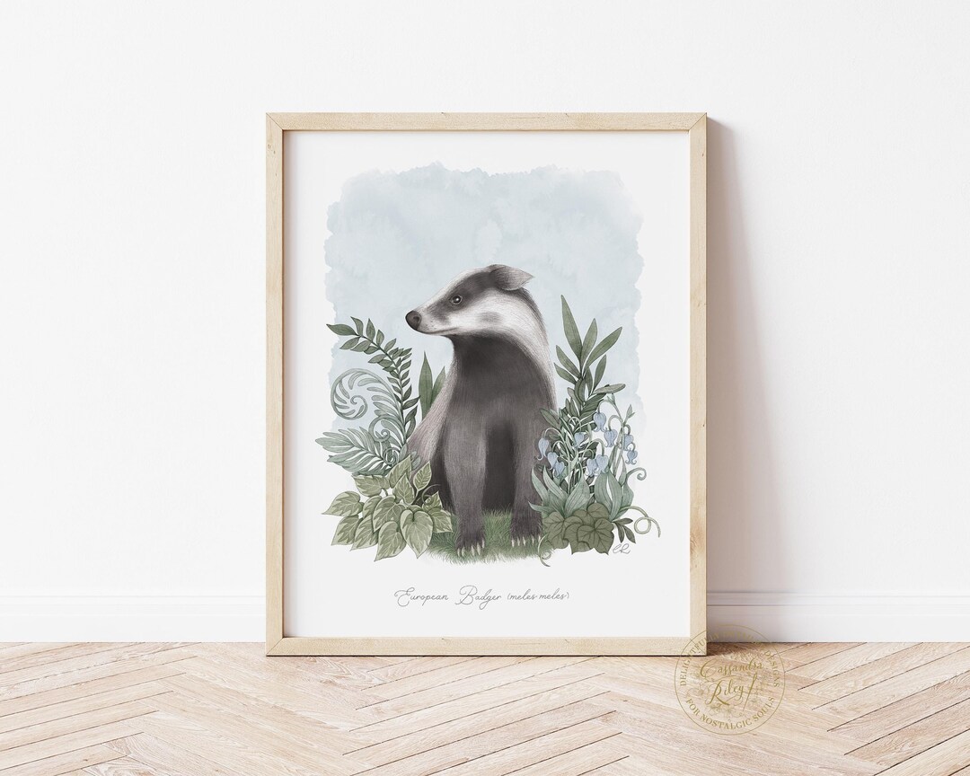 Badger Wall Art - Woodland Print - Original Illustration - Cottagecore ...
