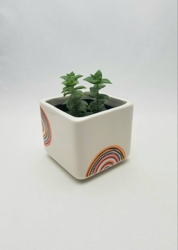 Square Ceramic Planters
