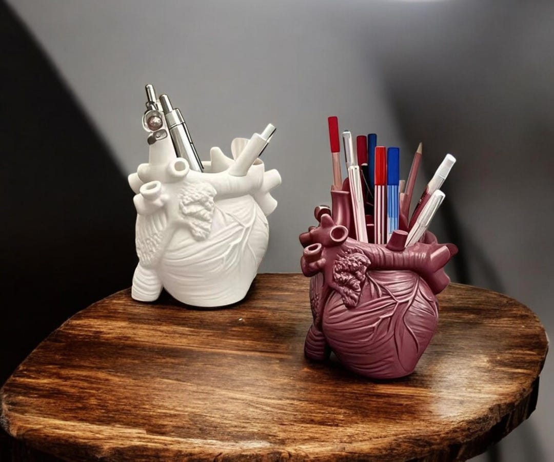 Realistic Human Heart Pen Holder – Anatomical Desk Organizer | Gothic ...