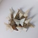 Upcycled Origami Butterflies Folded Antique Book Pages With - Etsy