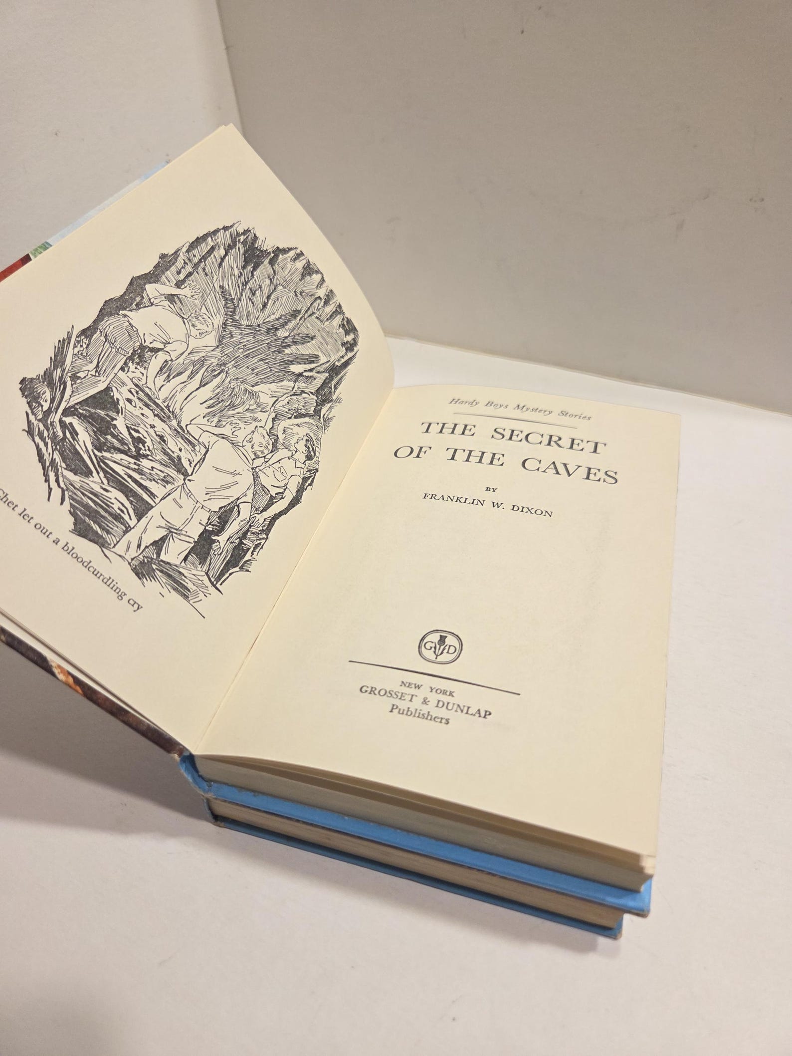 Hollow Book Safe - Two Stacked Hardy Boys Secret Hollow Book Stash ...