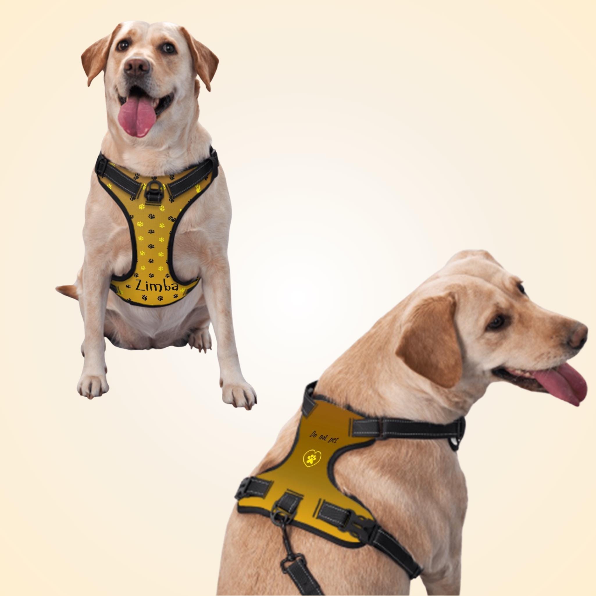 Custom Dog Harness With Name Personalised Cat Harness No Pull Dog ...