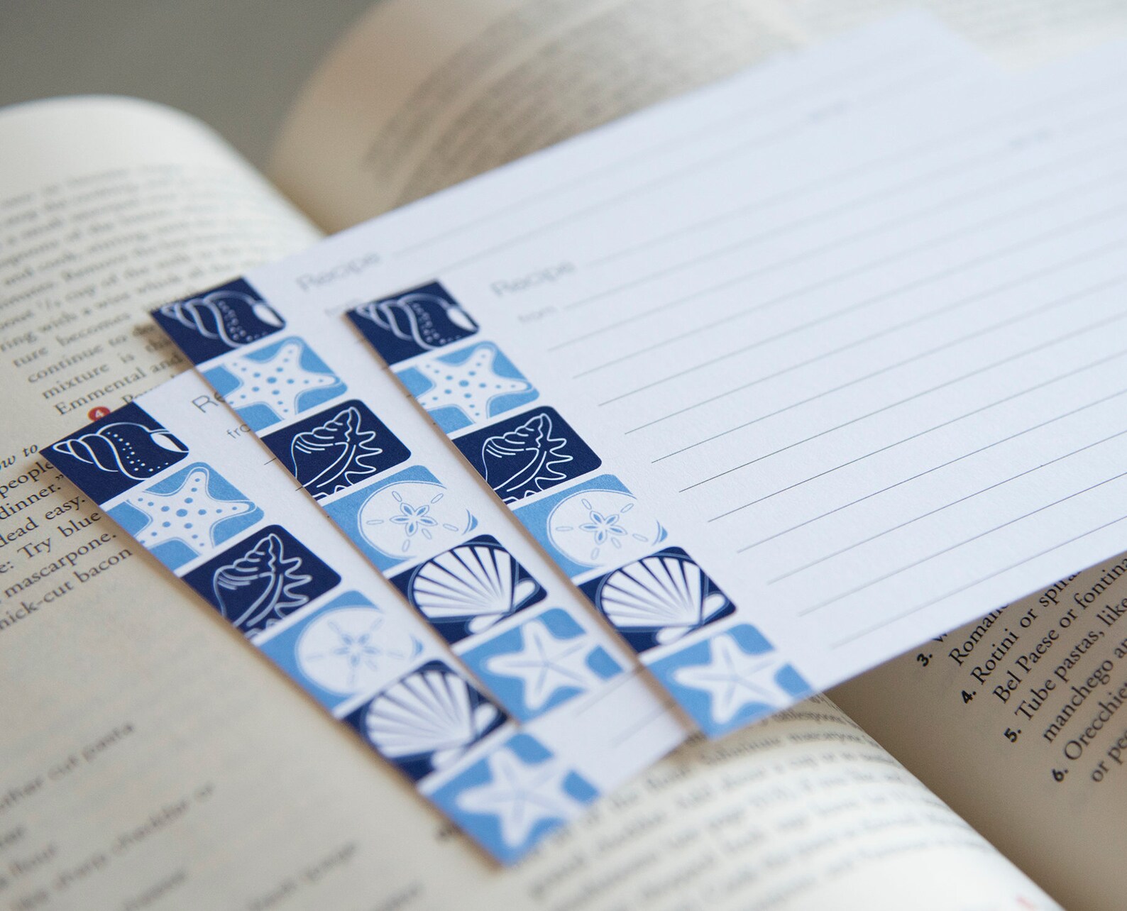 Recipe Cards Seashells - Etsy