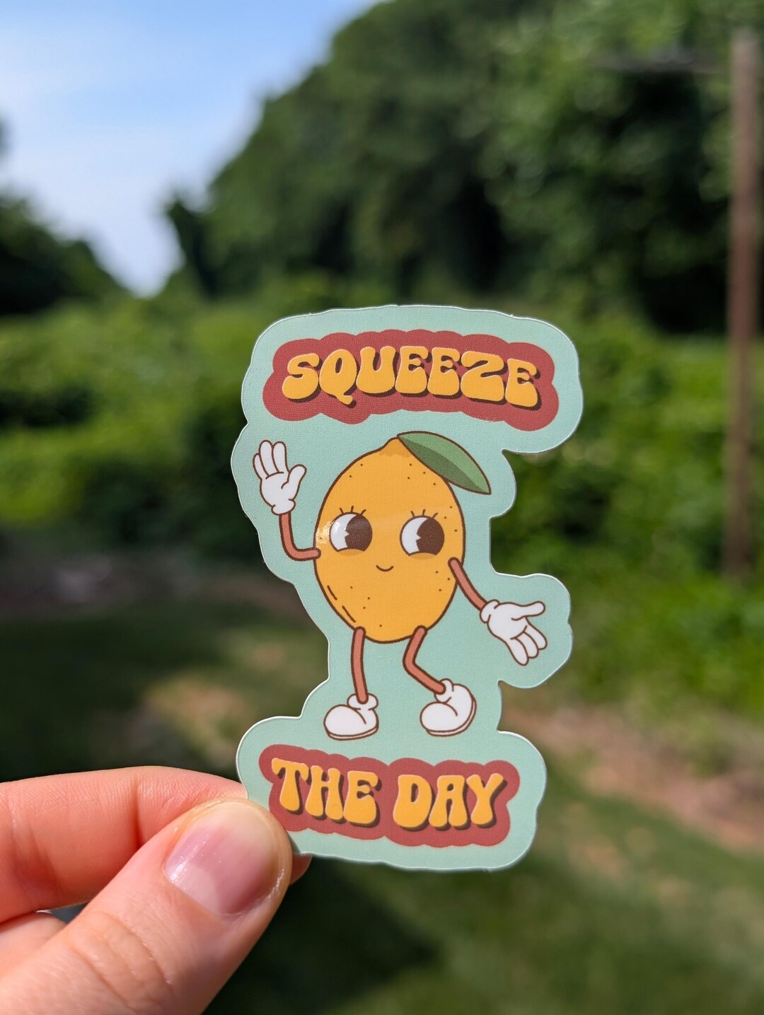 Squeeze the Day | Food Stickers | Registered Dietitian Gifts | Healthy ...