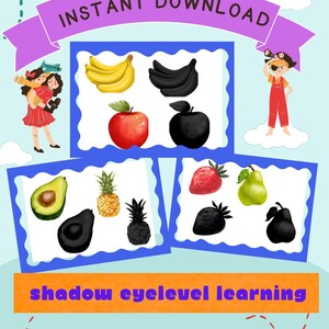 Fruit Shadow Matching Eye-level Light & Shadow Science for Preschool ...