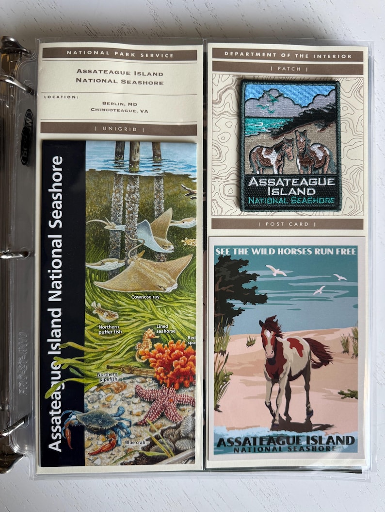 400+ National Parks US National Park Brochure Bundle | NPS Memorabilia ...