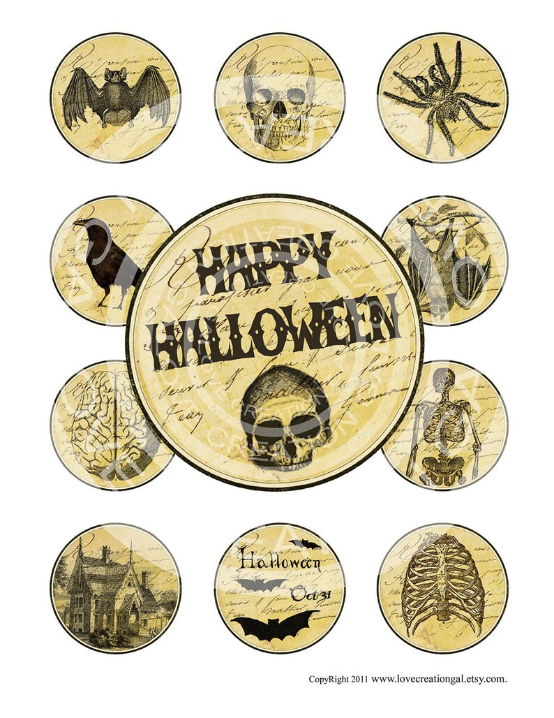 Halloween Spider Ghost Skeletons Cat Bat Celebrate Tea Party Cupcake ...