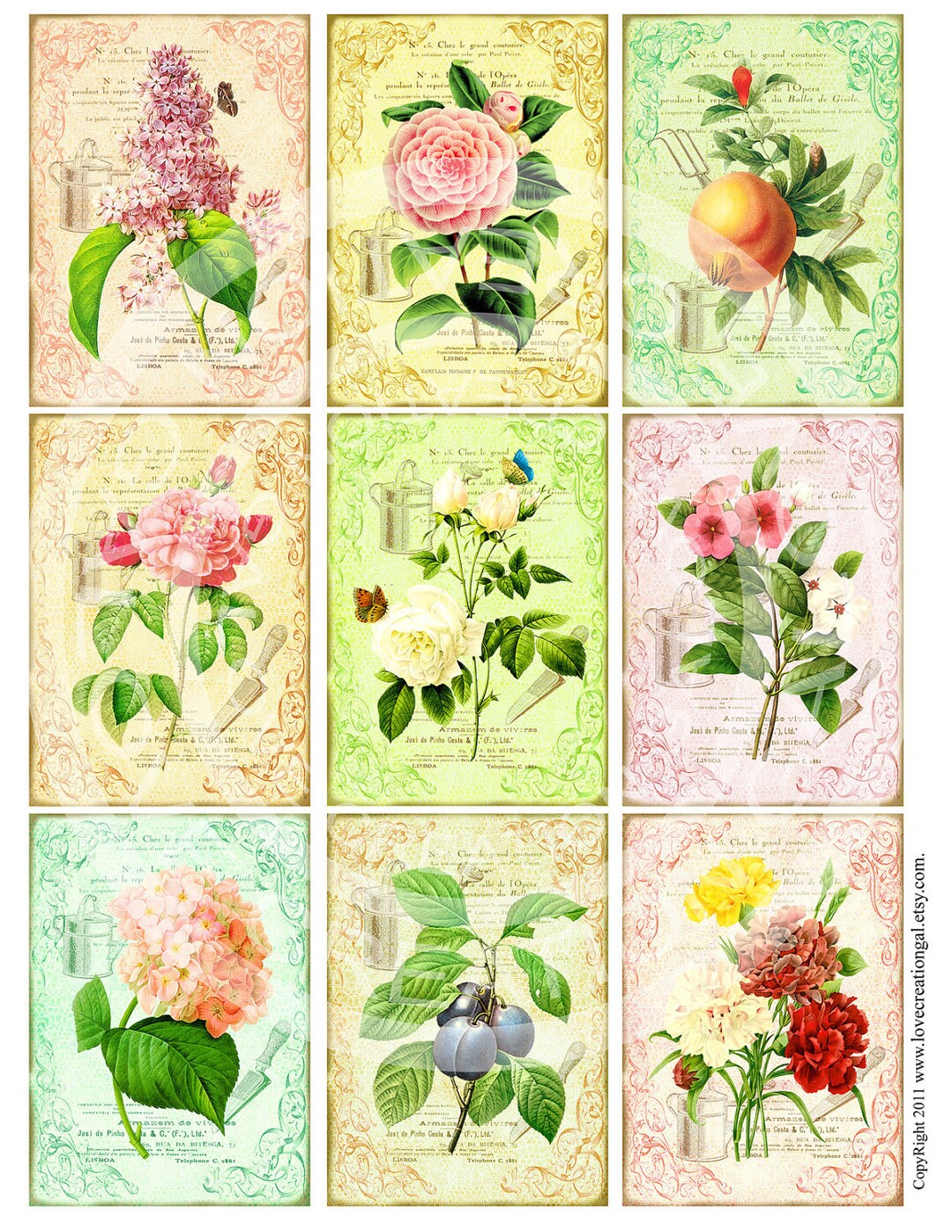9 Vintage Cottage Flower Rose Butterfly Botanical Postcard Ledge French ...