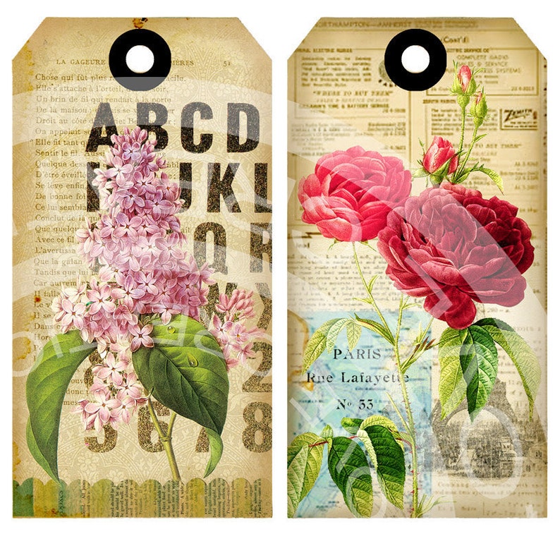 Vintage Botanical Flower Rose Paris French Antique Floral Bird Thank ...