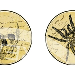 Halloween Spider Ghost Skeletons Cat Bat Celebrate Tea Party Cupcake ...