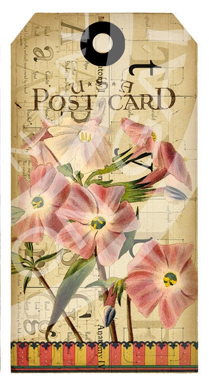 Vintage Botanical Flower Rose Paris French Antique Floral Bird Thank ...