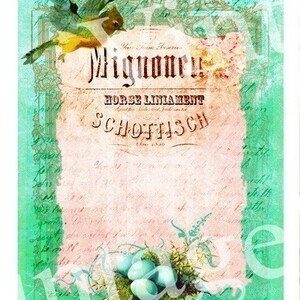 6 Vintage Birds Nest Egg Rose Butterflies Paris French Candle Light ...