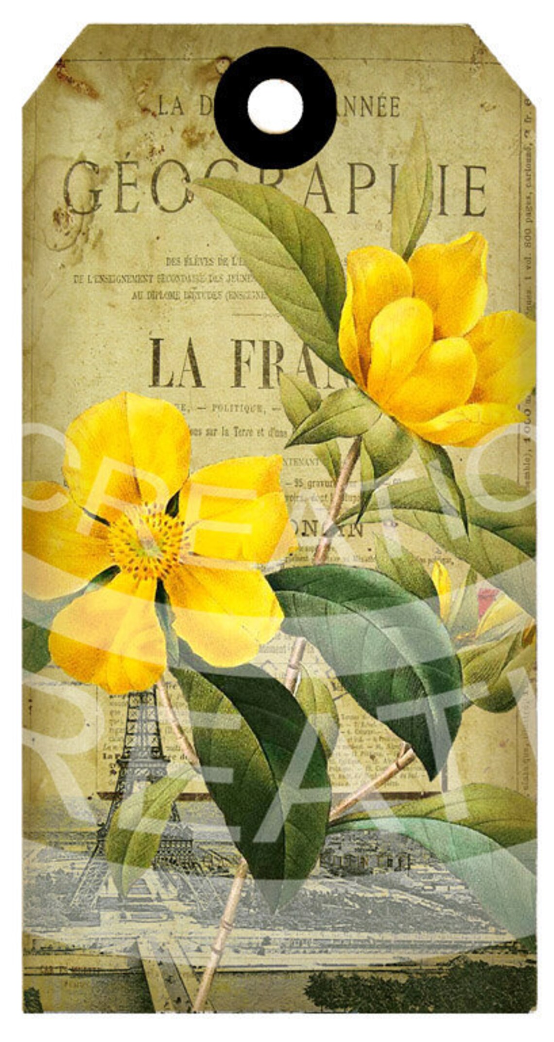 Vintage Botanical Flower Rose Paris French Antique Floral Bird Thank ...