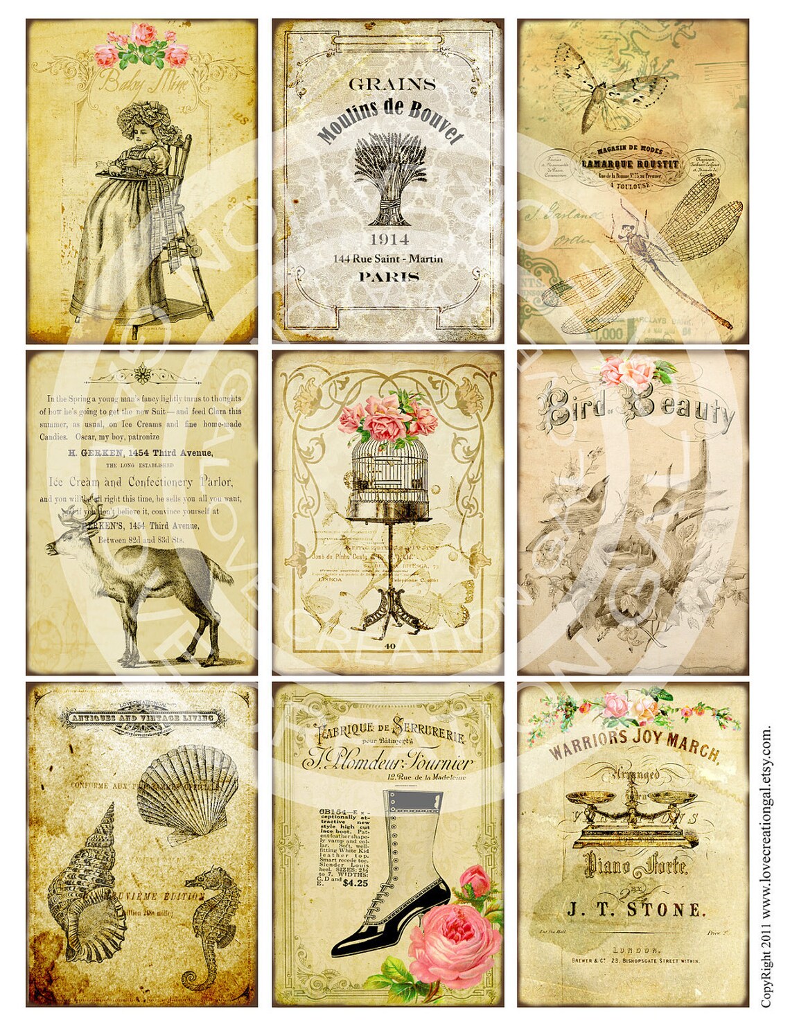 9 Vintage Victorian Flower Rose Shell Bird Nest Paris Frames - Etsy