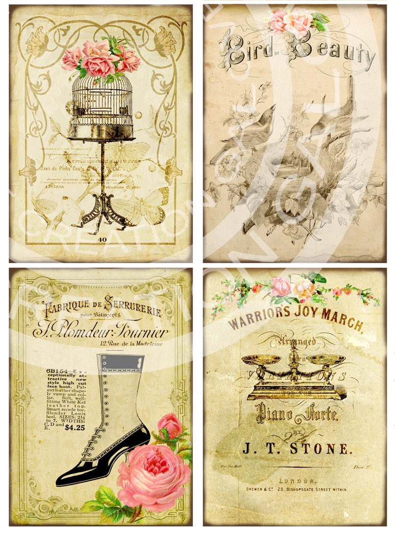 9 Vintage Victorian Flower Rose Shell Bird Nest Paris Frames - Etsy