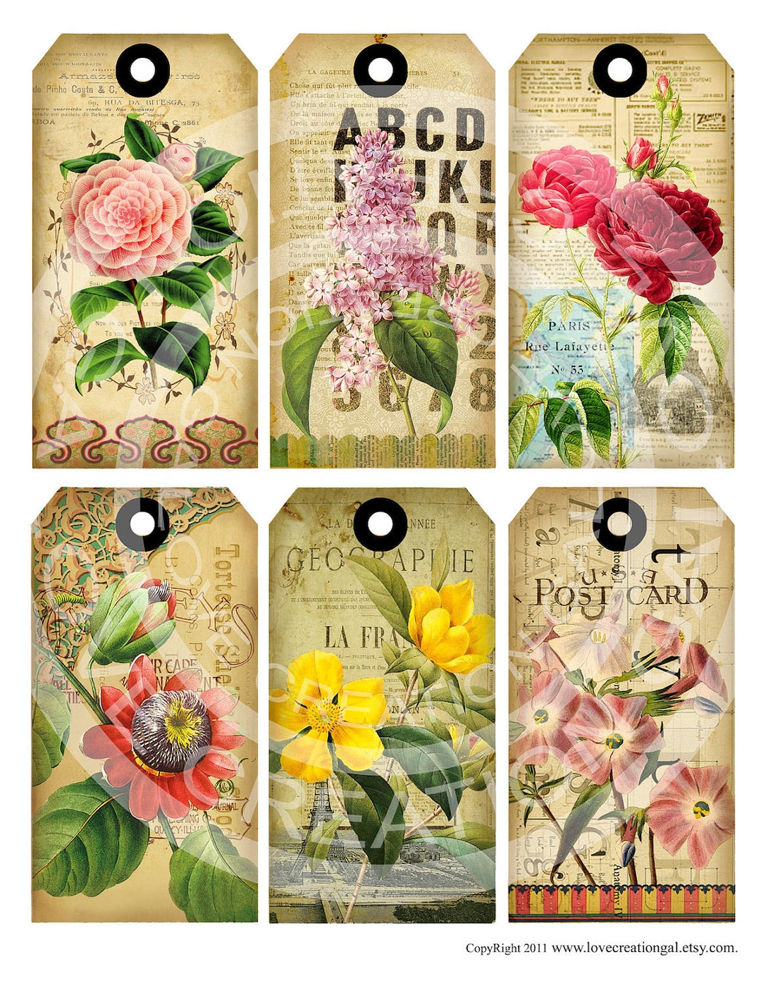 Vintage Botanical Flower Rose Paris French Antique Floral Bird Thank ...