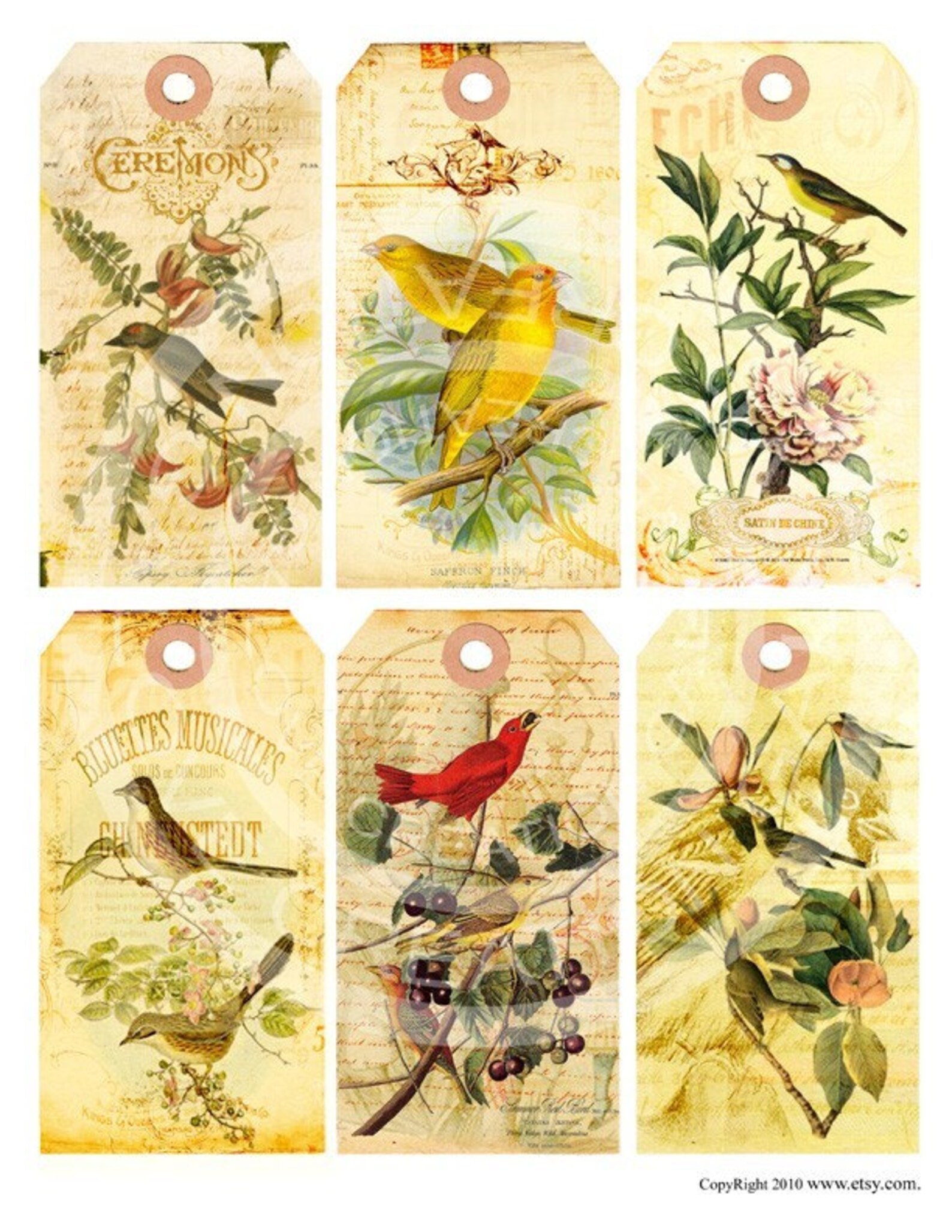 Printable Birds Nest Egg Rose Butterflies Paris French Vintage ...