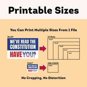 Protest Sign Bundle: Pro-democracy Posters No Kings (digital Download ...