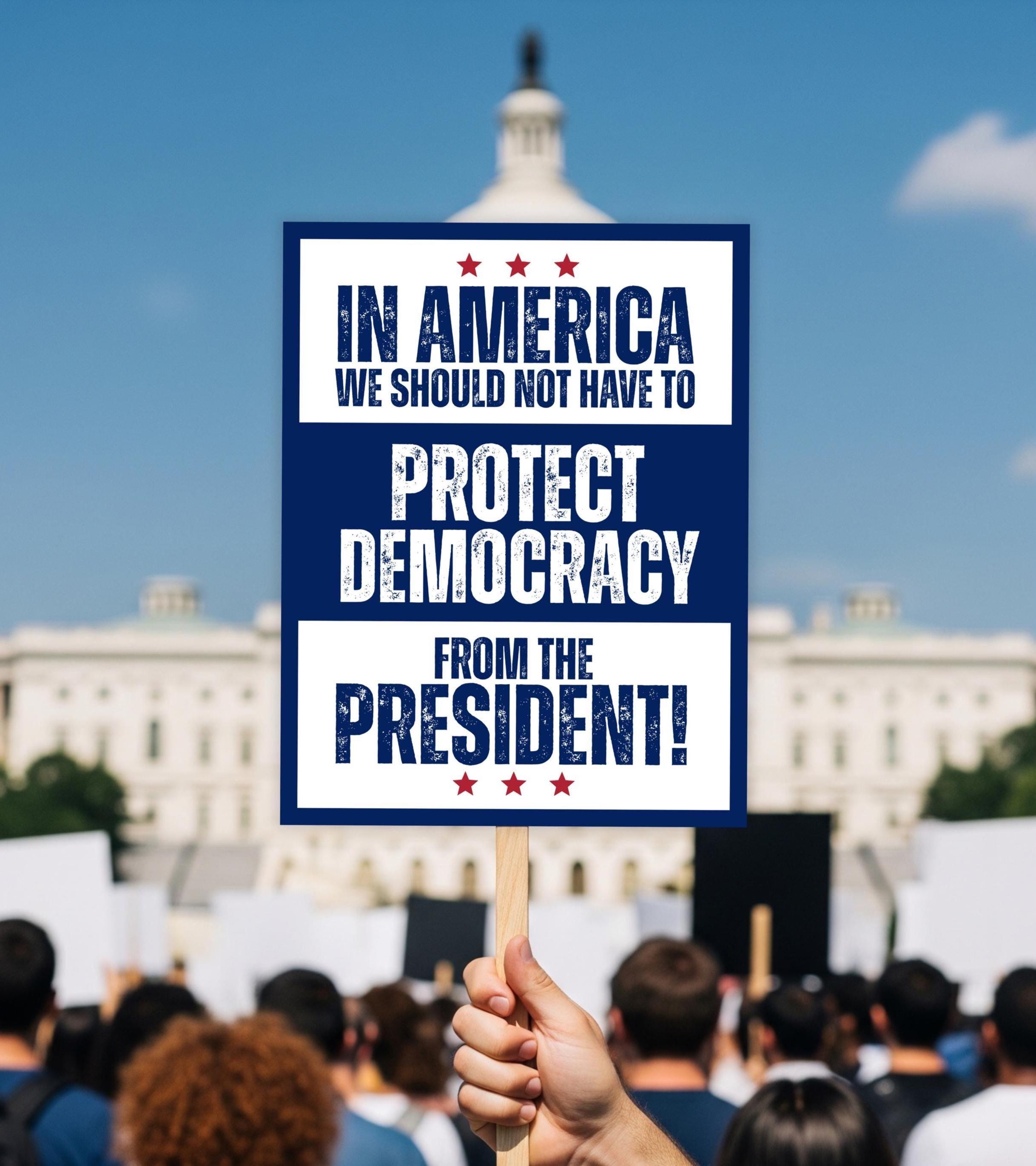Protect Democracy Protest Sign: Anti Trump Rally Poster No Kings ...