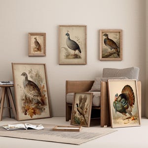 Vintage Gamebird Art Prints Set of 6 for Autumn Thanksgiving Decor ...
