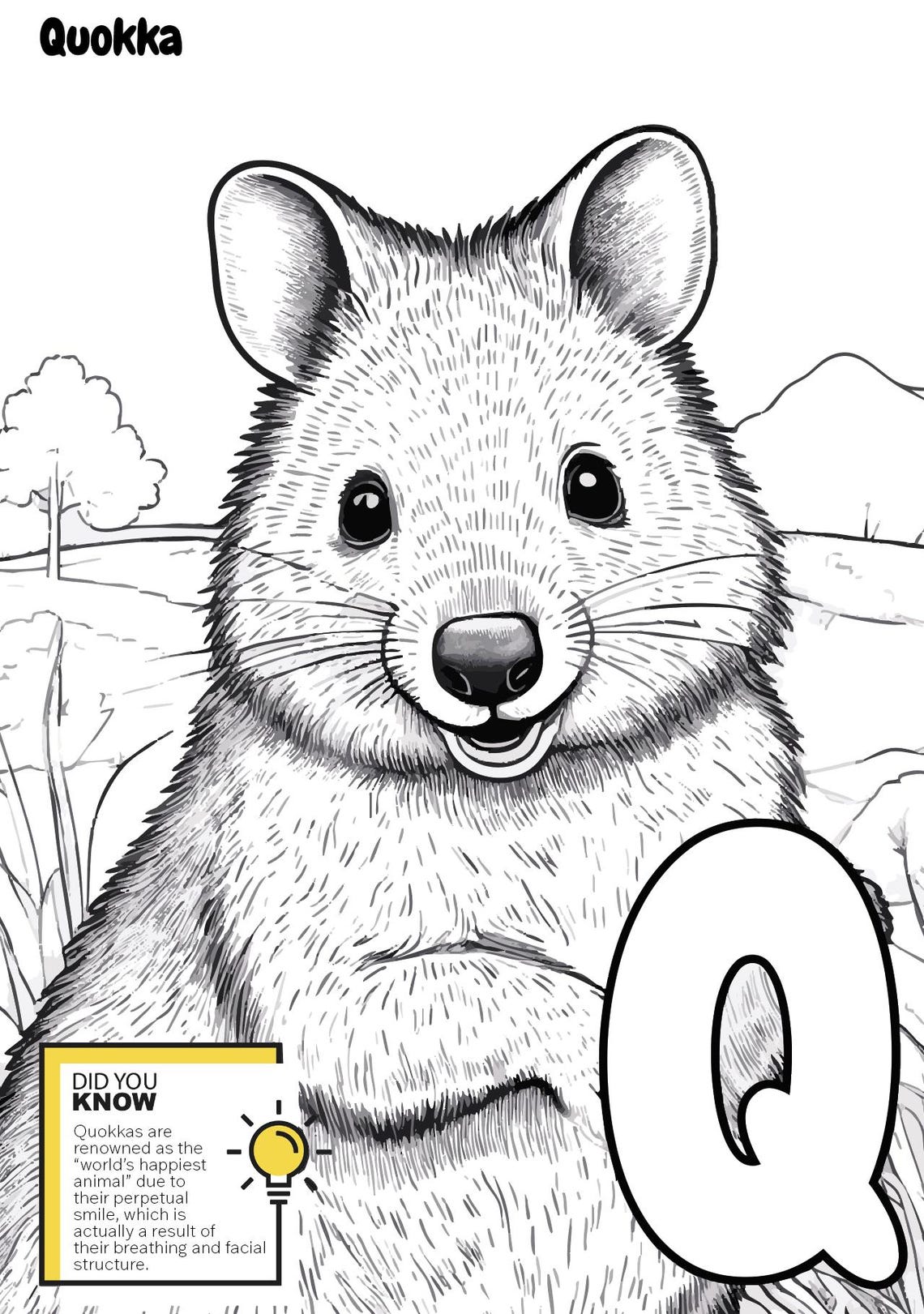Aussie Animals Colouring Book A–Z | 27 Page Printable Kids Activity ...