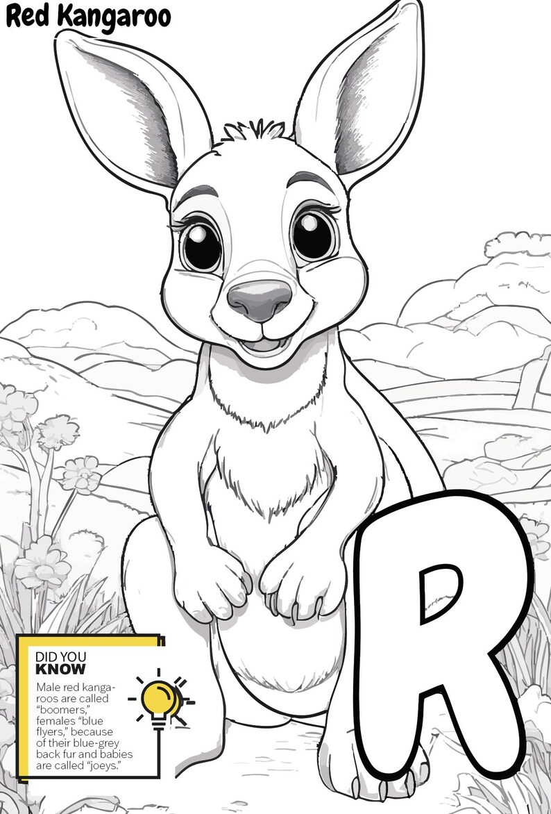 Aussie Animals Colouring Book A–Z | 27 Page Printable Kids Activity ...
