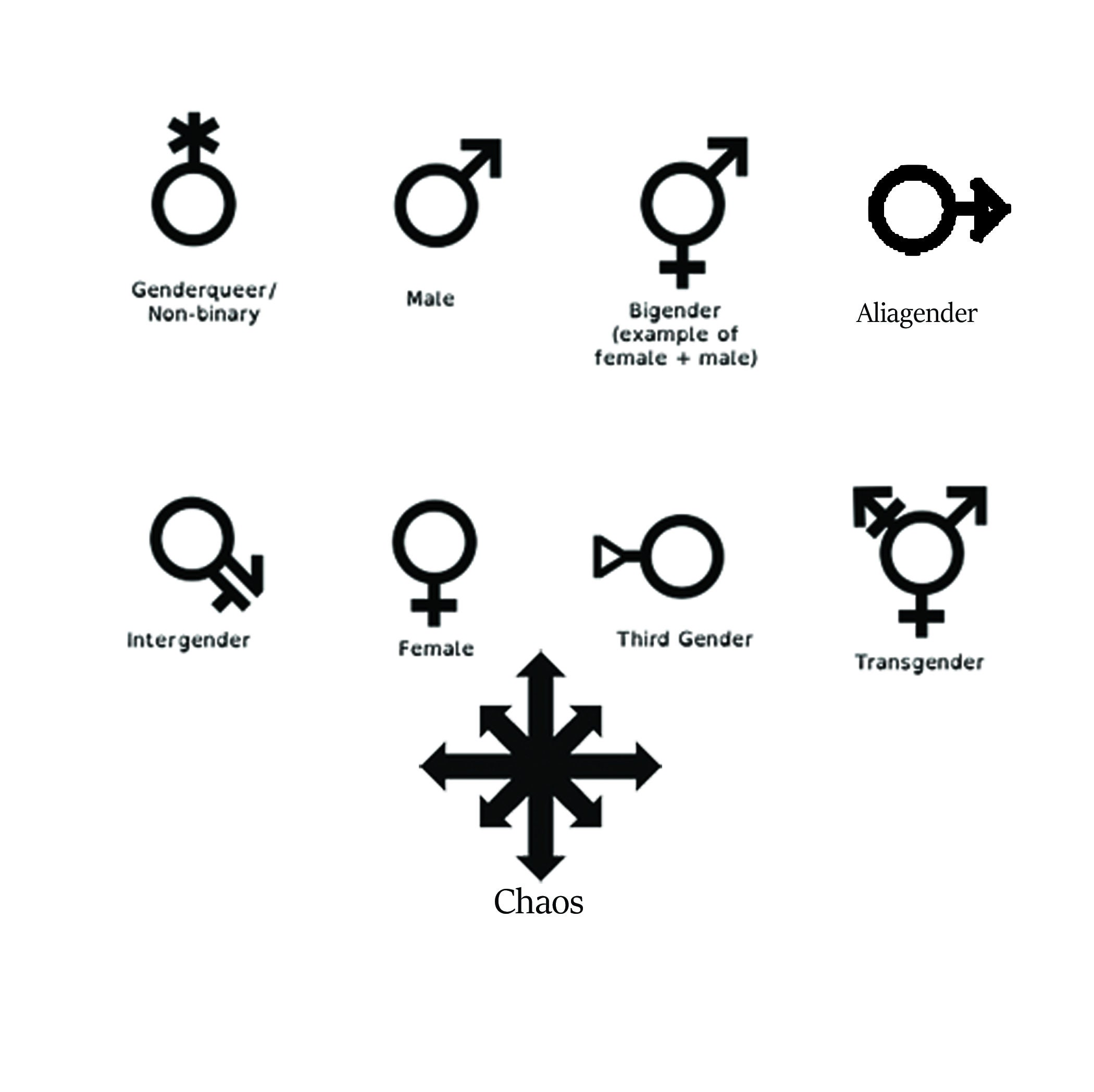PATCH- GENDER CHAOS Embroidered, Iron on Patch - Etsy