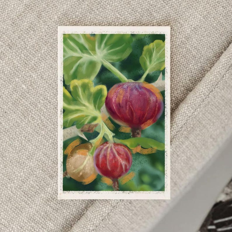 Gooseberry Botanical Wall Art – Rustic Kitchen Printable – Hand Drawn ...