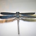 Welded Steel Dragonfly - Etsy