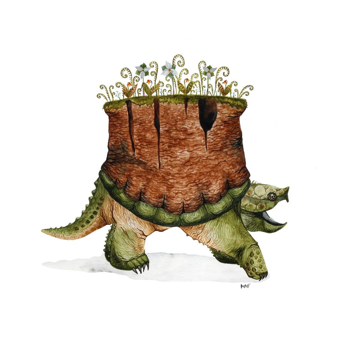 Hibernating Snapping Turtle Fine Art Print Watercolor - Etsy