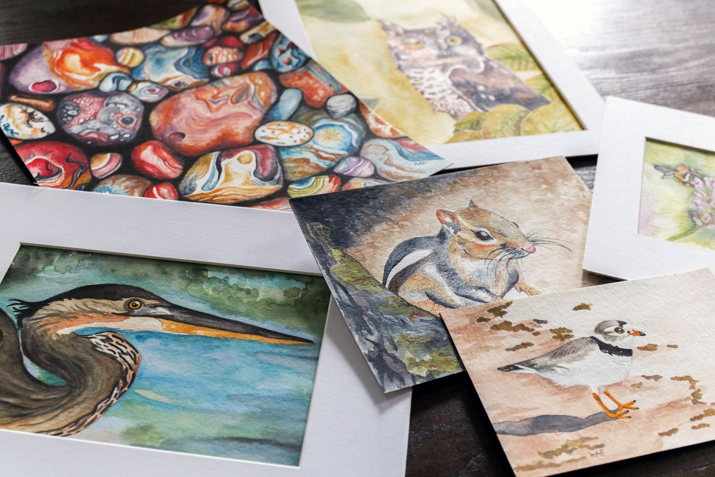 Screech Owl Fine Art Print Watercolor Painting Reproduction Owl Giclée ...