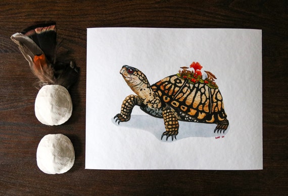 Land Turtle Art