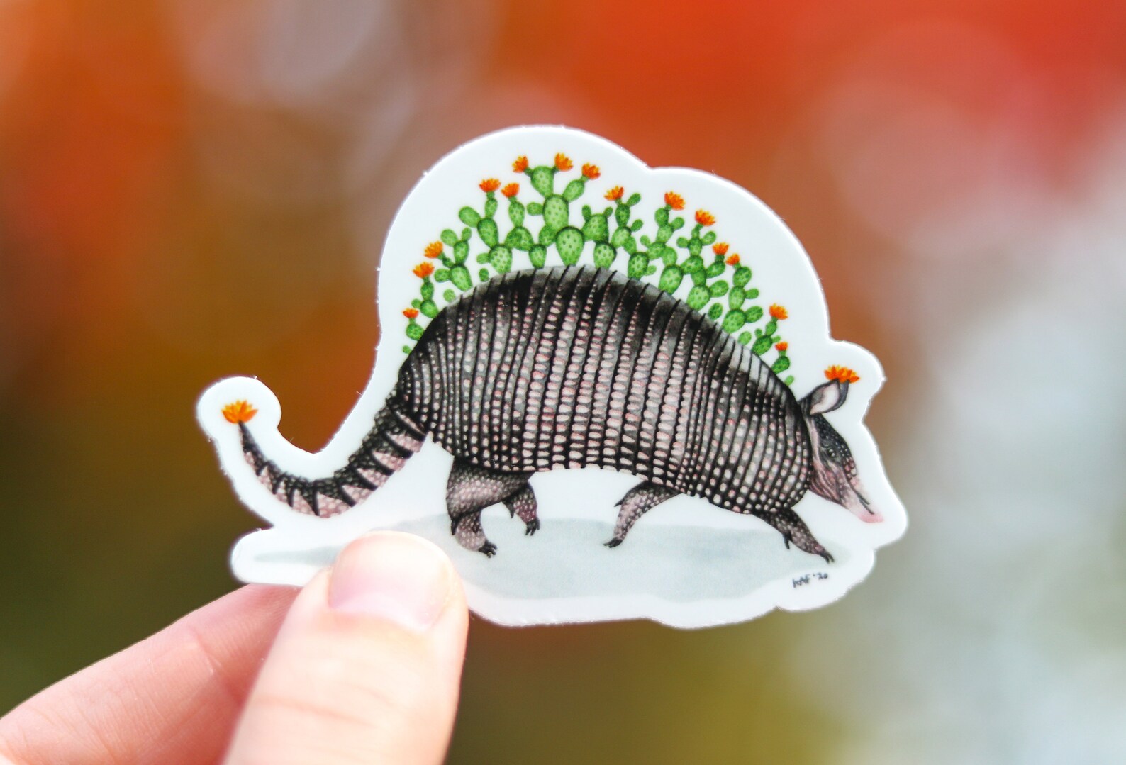 Armadillo Sticker Watercolor Painting Armadillo Painting Cactus ...