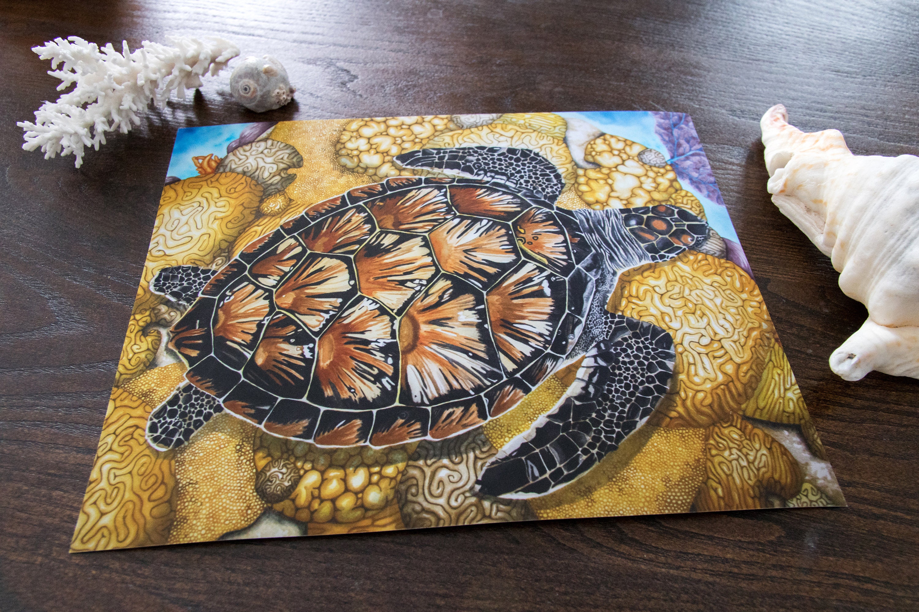 Sea Turtle Fine Art Print Ocean Watercolor Painting Reproduction Coral ...