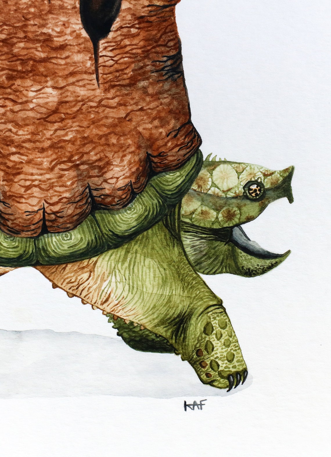 Hibernating Snapping Turtle Fine Art Print Watercolor - Etsy