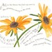 Black-eyed Susan, Poem Giclee Print From Original Watercolor Painting ...