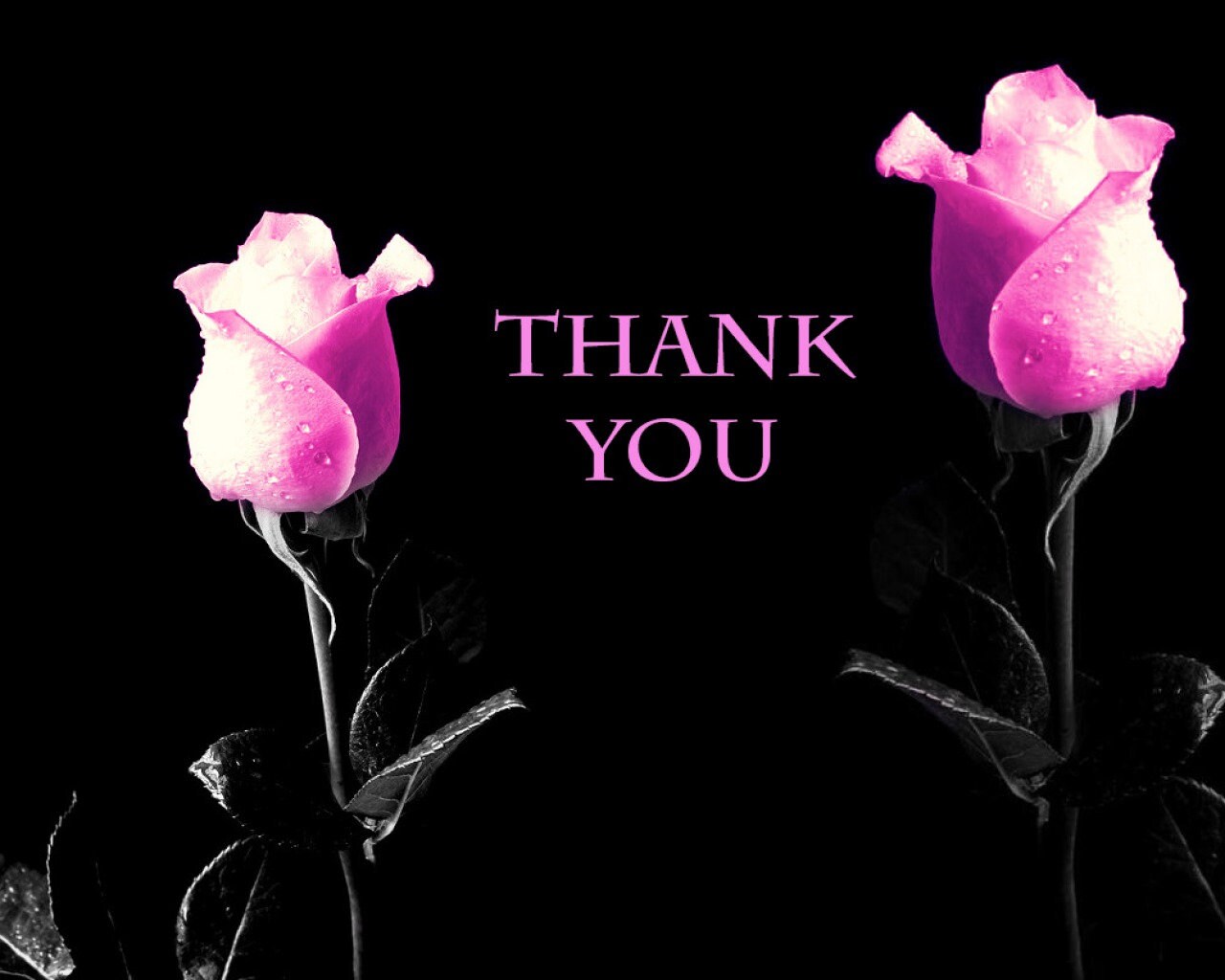 Delizza and Elster A/k/a Juliana Flawed Ruby Rubinite Necklace Bracelet ...