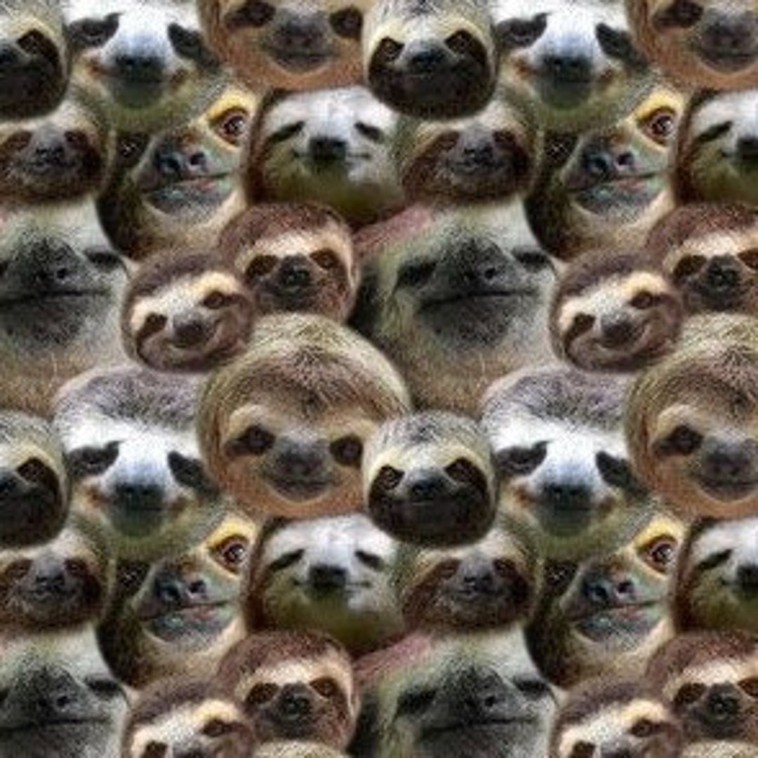 Sloths and More Sloths !!!!! European Surgical Scrub Cap With Toggle ...