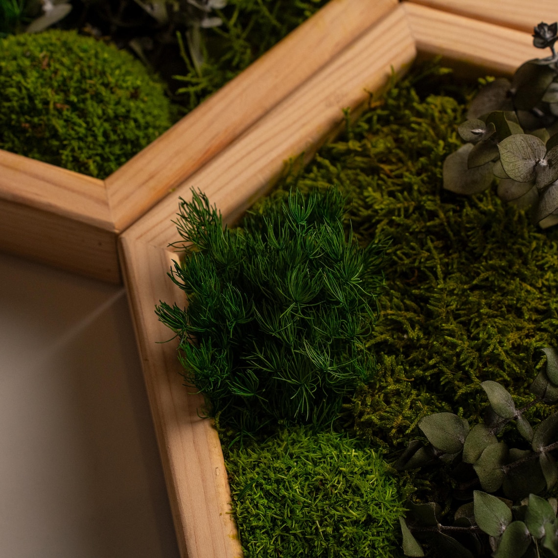 Hexagon Moss Art, Moss Wood Decor, Wooden Preserved Moss Wall Sets ...
