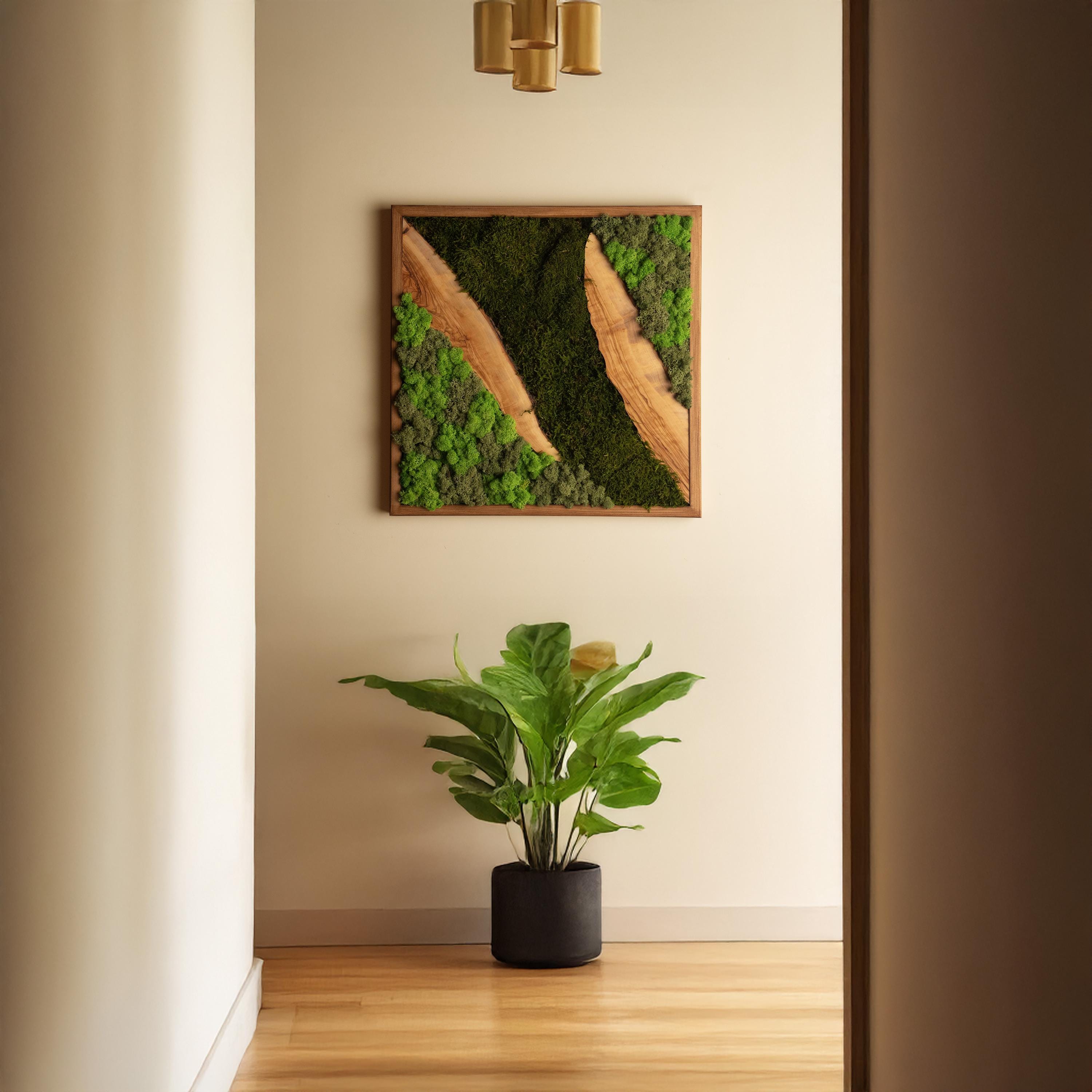 Custom Moss and Olive Wood Wall Art, Preserved Stabilized Moss Wall ...