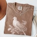 Vintage Mourning Dove Shirt: Birdwatcher Wildlife Comfort Colors® T ...