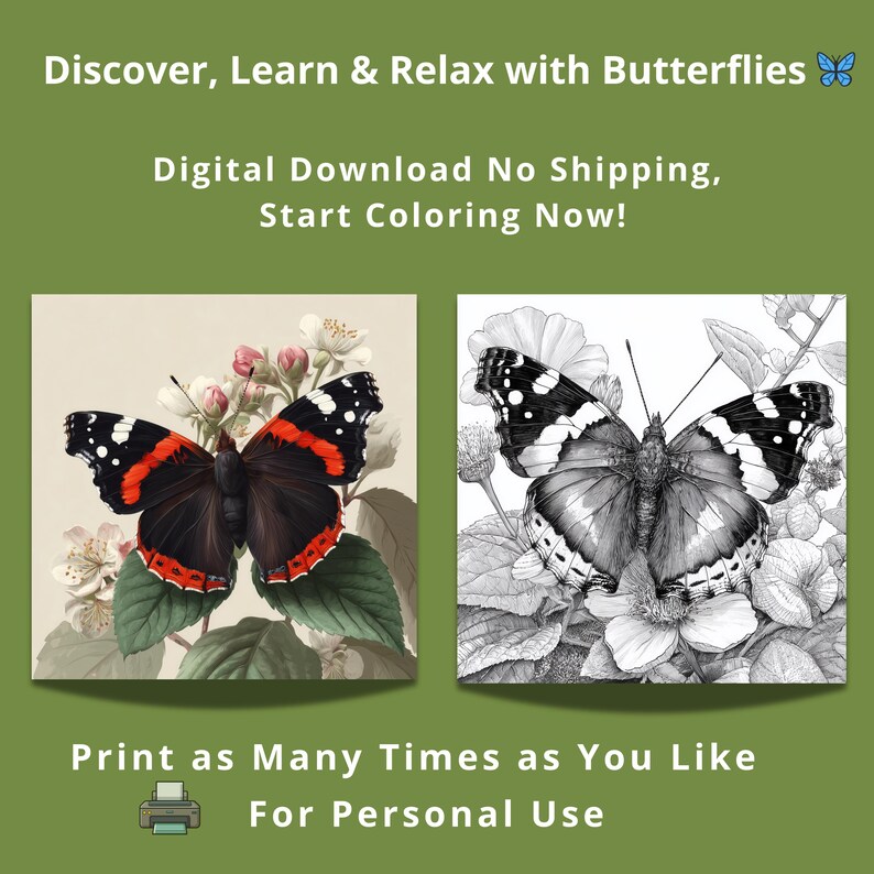 32 Realistic Butterfly Coloring Pages – Printable PDF With Color ...